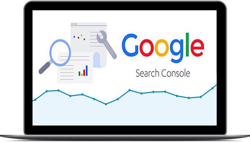 Google Console - Rauvas - Web Tasarım Hizmetleri